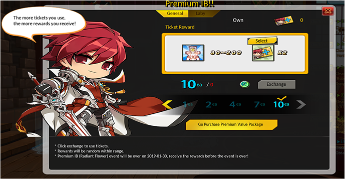 ELSWORD ONLINE: Premium IB Package